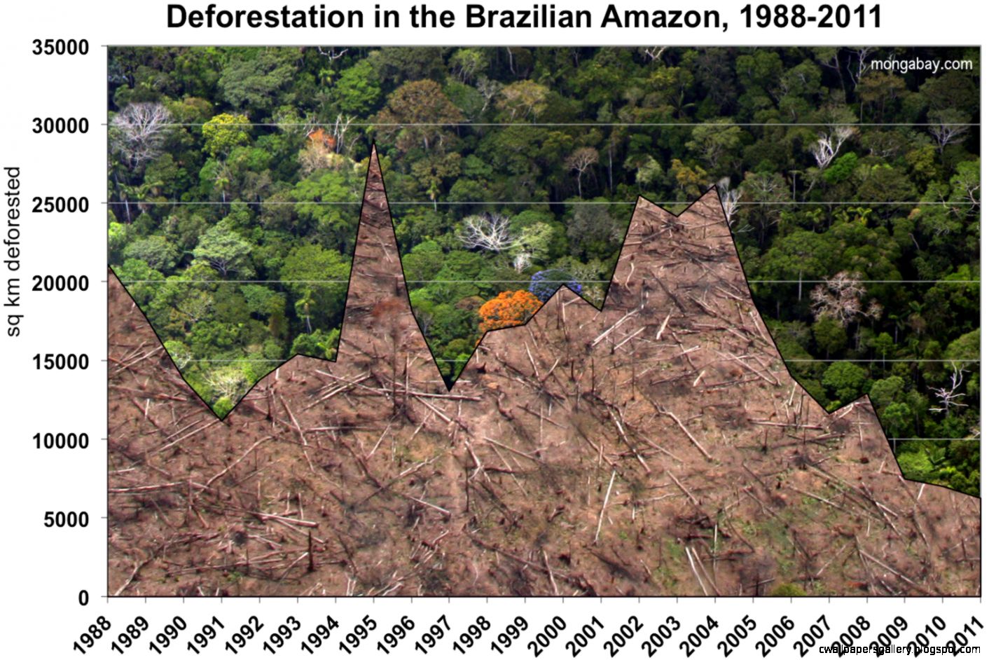 Amazon Rainforest Deforestation Graph | Wallpapers Gallery