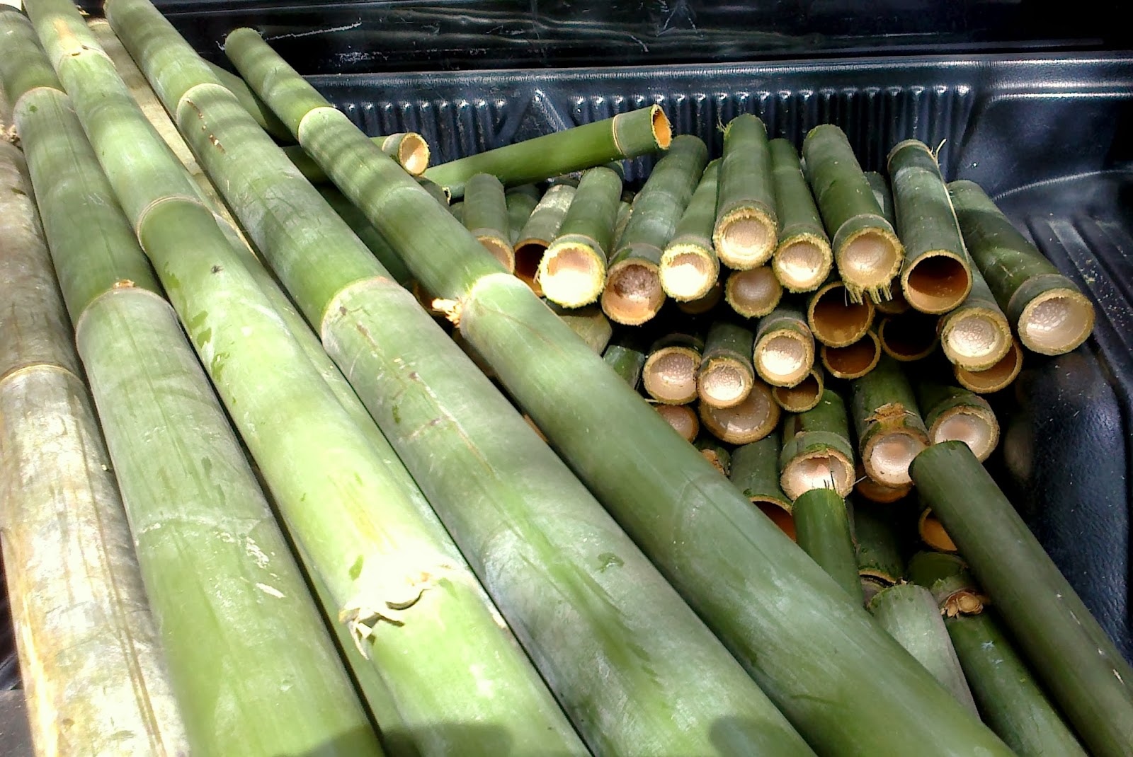 Mencari Buluh Dan Membakar Lemang - Taman Rasa Indah - Relaks Minda