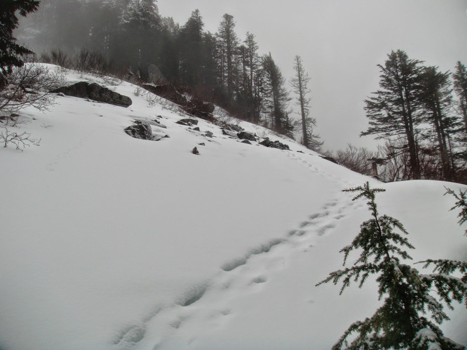 Hiking The Great Northwest: Mt. Persis