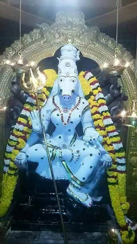 Suparni Devi: Varahi Devi