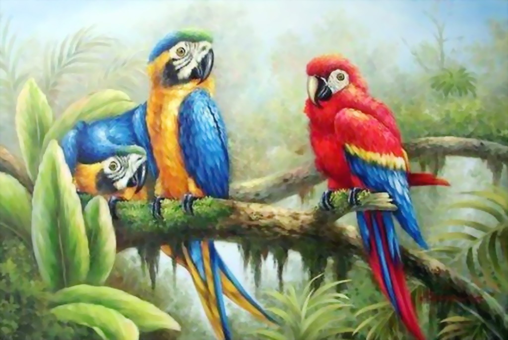 Paisajes naturales con animales - Imagui