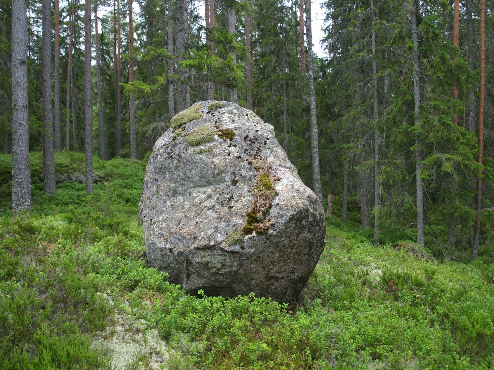 Skogsnävans blogg: augusti 2014