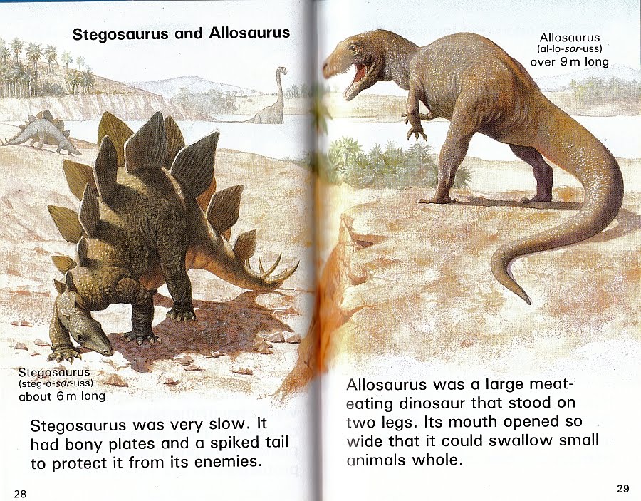 Dinosaurs Stegosaurus Vs Allosaurus