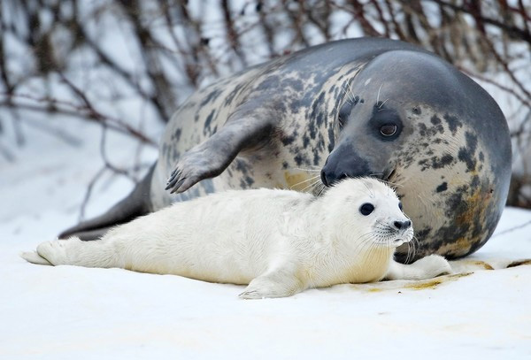 "The Existence of Our Natural Environment.": April 2012