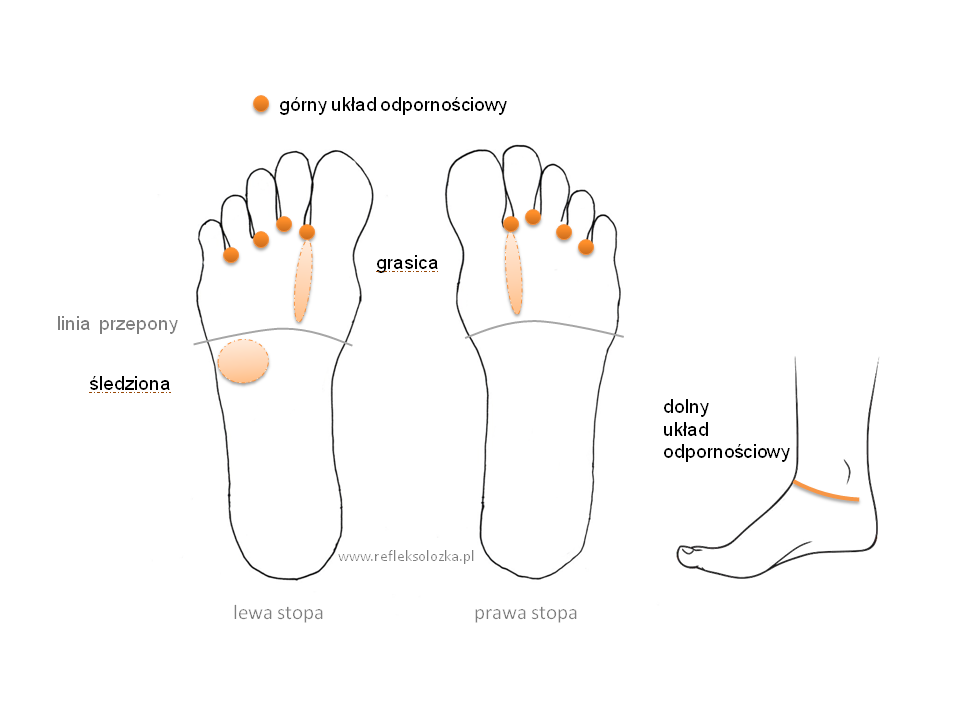 REFLEKSOTERAPIA - przez stopy do zdrowia