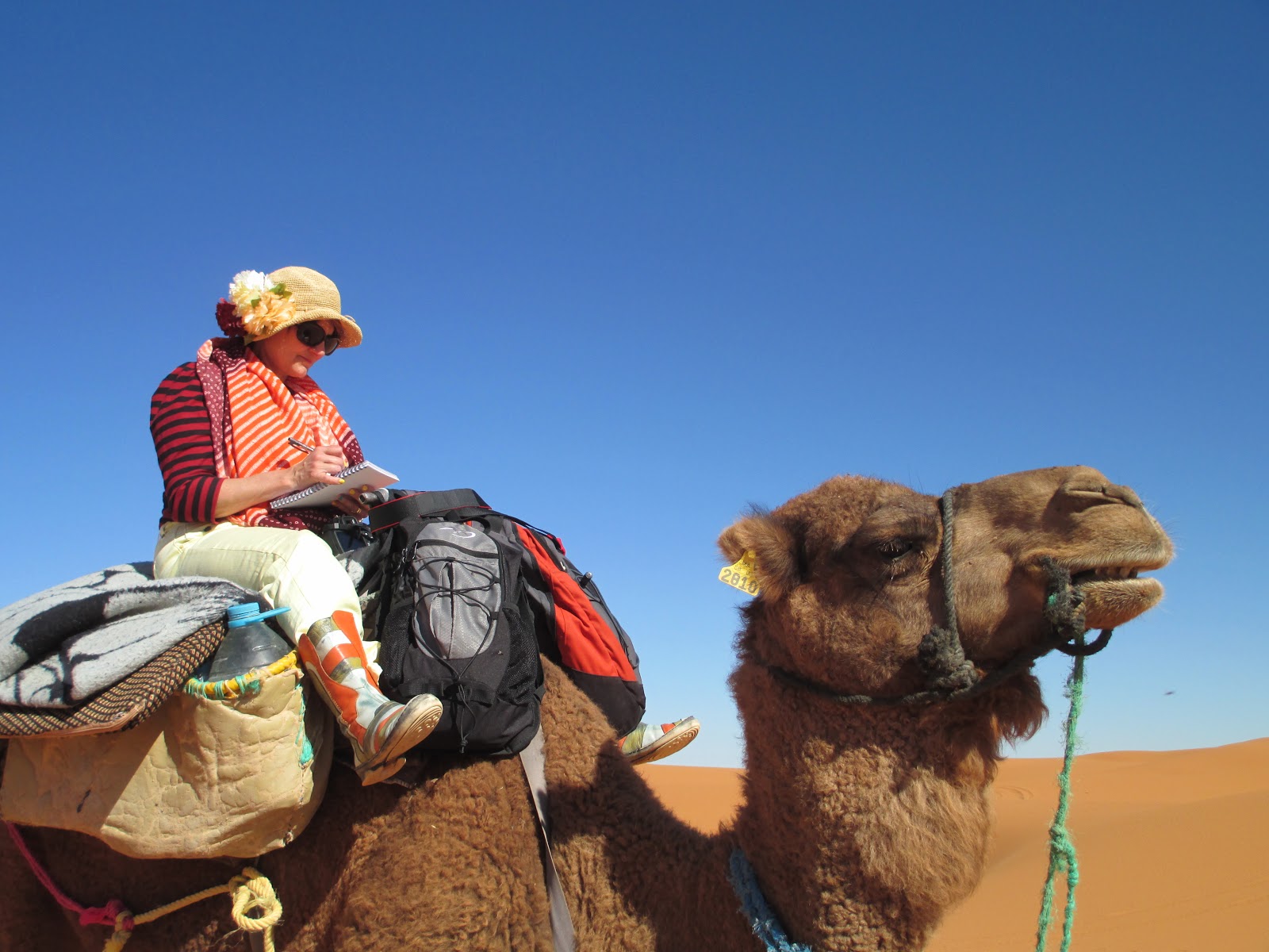 Walking and Writing: How to write on a camel