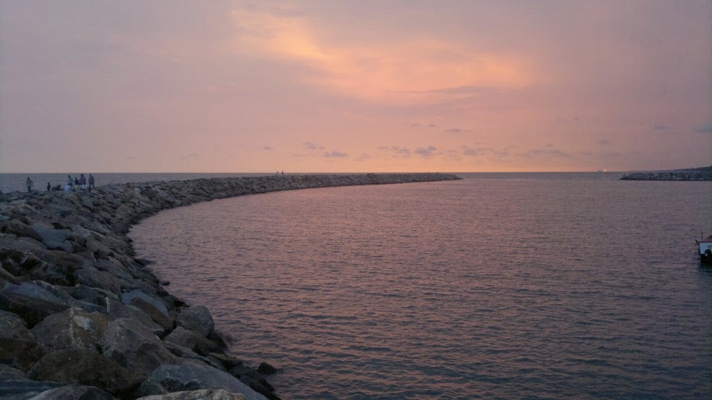 chellanam: Chellanam harbour