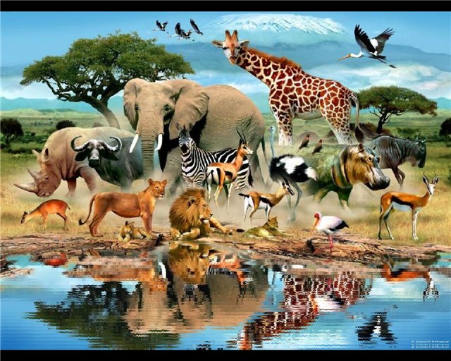 Multi Animals Wallpaper 5 ~ Blast of Wallpapers