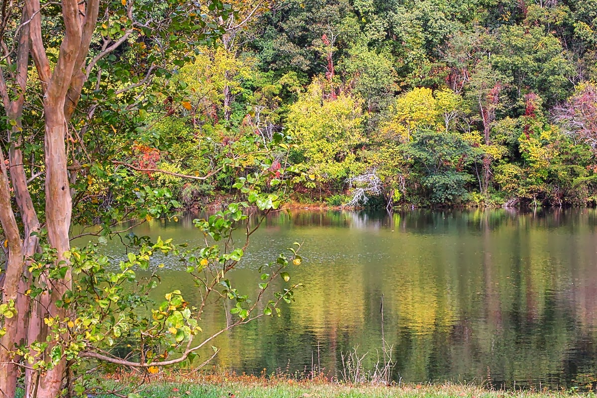 Gary's Outdoor Wanderings2: BEING A TOUR GUIDE