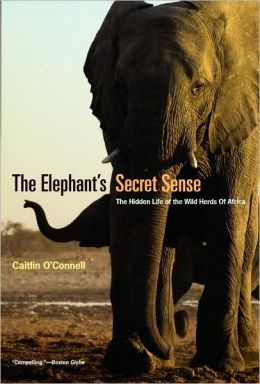 LIT LISTS: Five of the best books about elephants