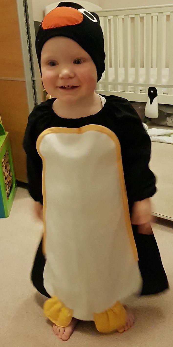 Pingu Costume