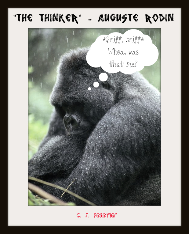 Catherine's Encyclopaedia: Funny captions > "The Thinker" of Auguste Rodin