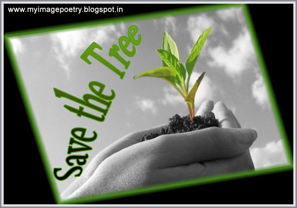 Image Poetry: Save Trees Posters