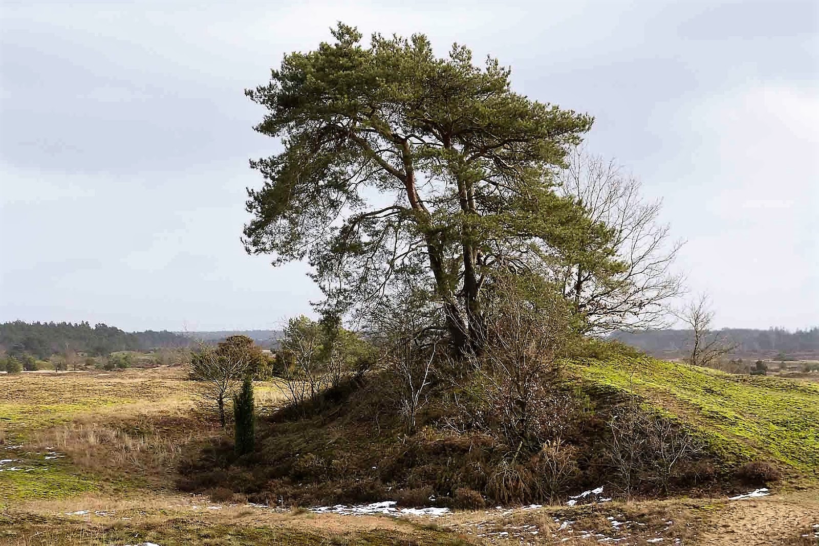Mooiste Routes: Wandelen bij Harskamp (Gelderland)