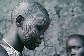 Wild Kingdom: Scarification