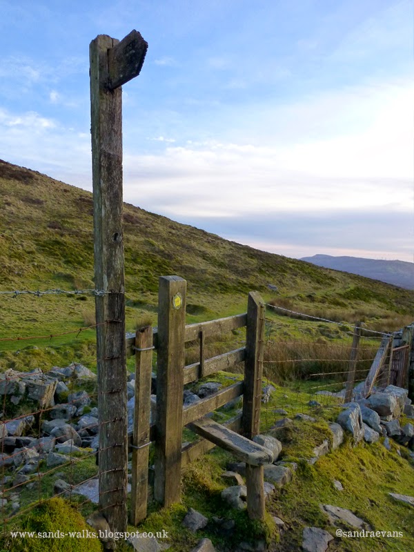 Sand's Nature Walks: Cribarth - Part 1 - 7 March 2014