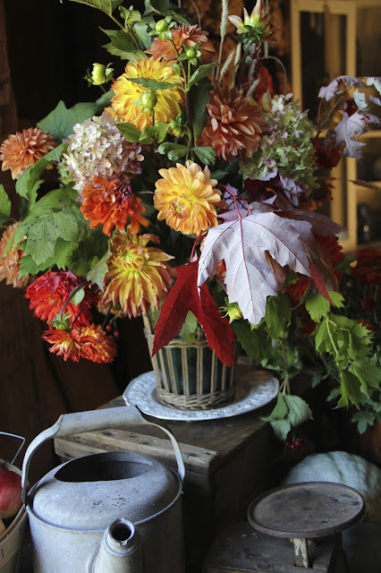 bonesoflife: Hurd Orchard, Holley, NY ... pure joy!