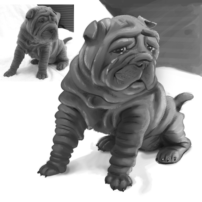 Learning drawing principles: pup