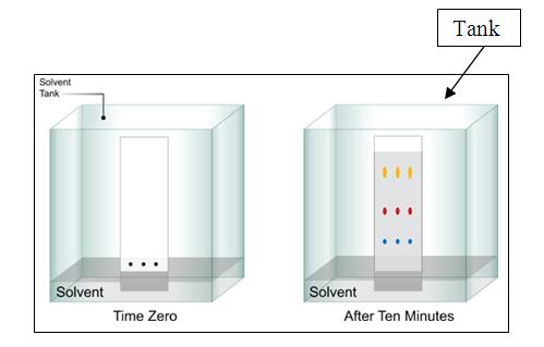 Paper Chromatography Ascending Method
