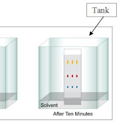 Science of Chromatography