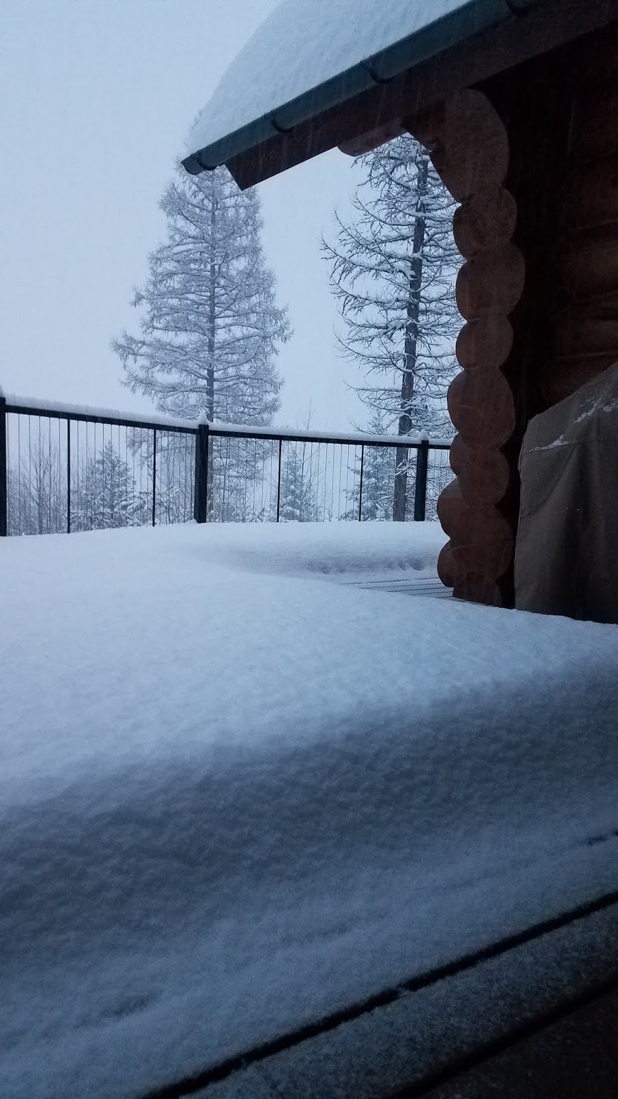 Letting Go of the Bay Leaf: Jolly January