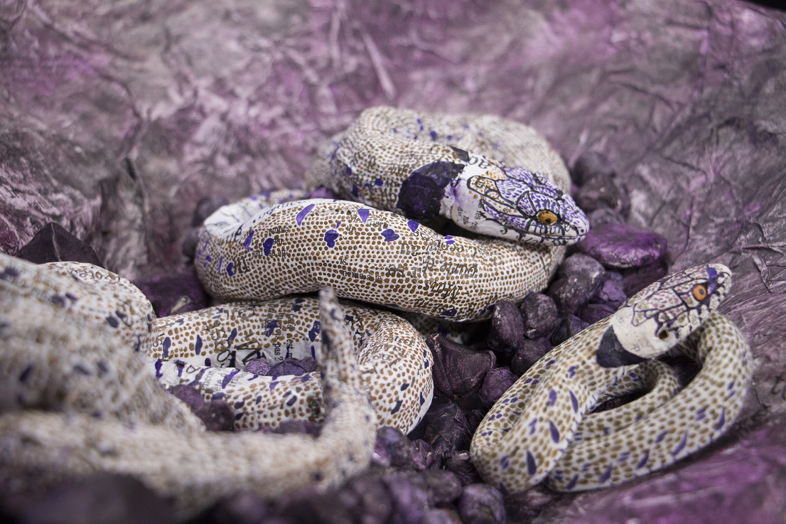 Natrix natrix, la couleuvre à collier