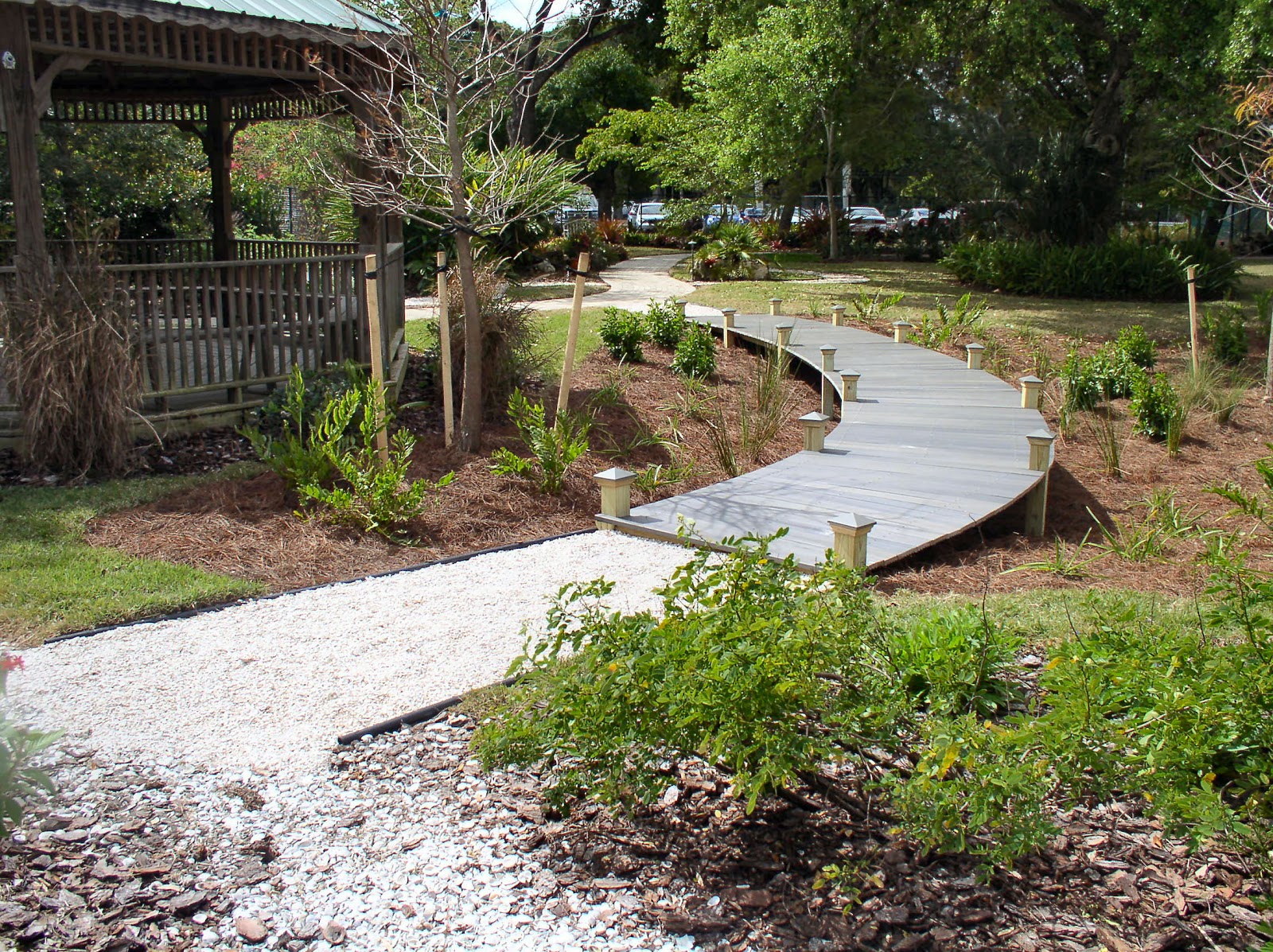 Florida Flowers and Gardens: Building a Rain Garden