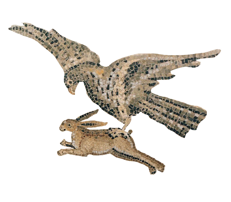 El escudo de Corella