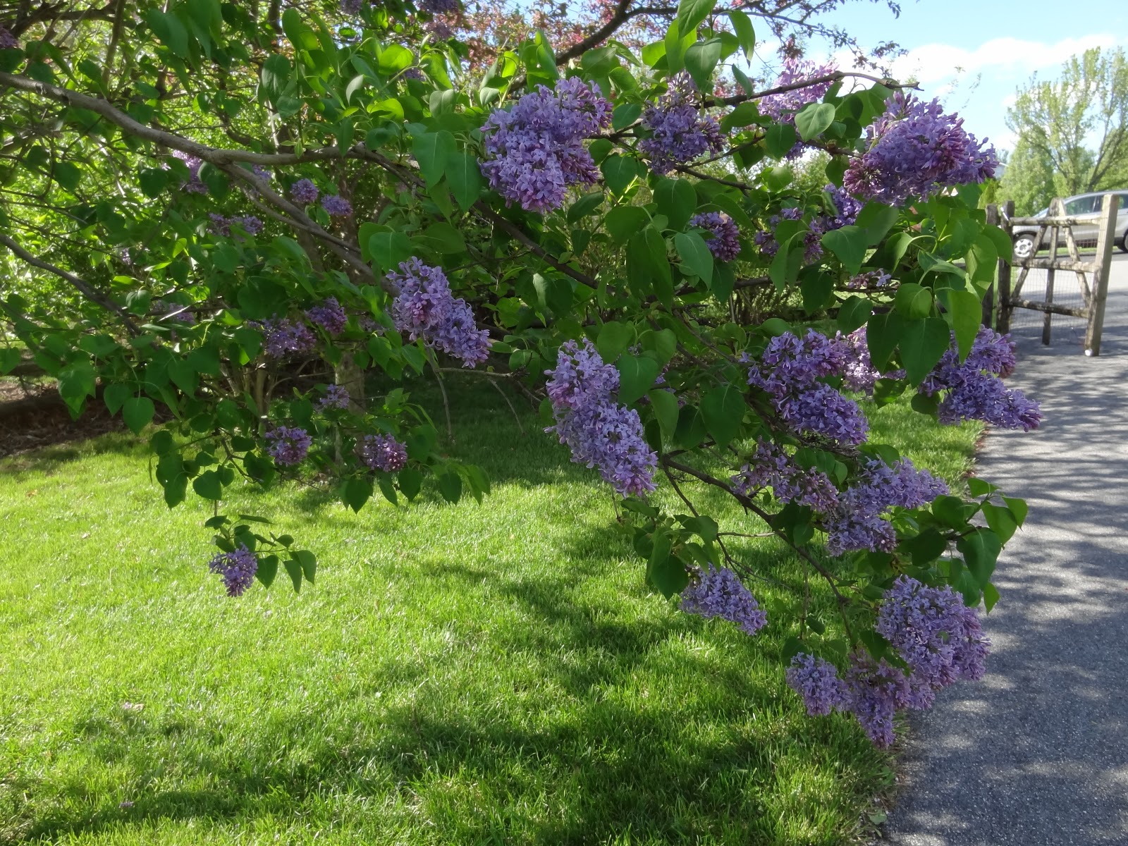 Live and Learn-Toss and Turn: S is for a Sundry of Things