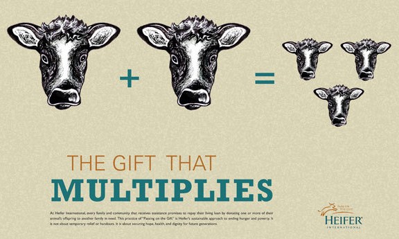 SurfWriter Girls: Heifer Int'l Turns Hunger Into Hope