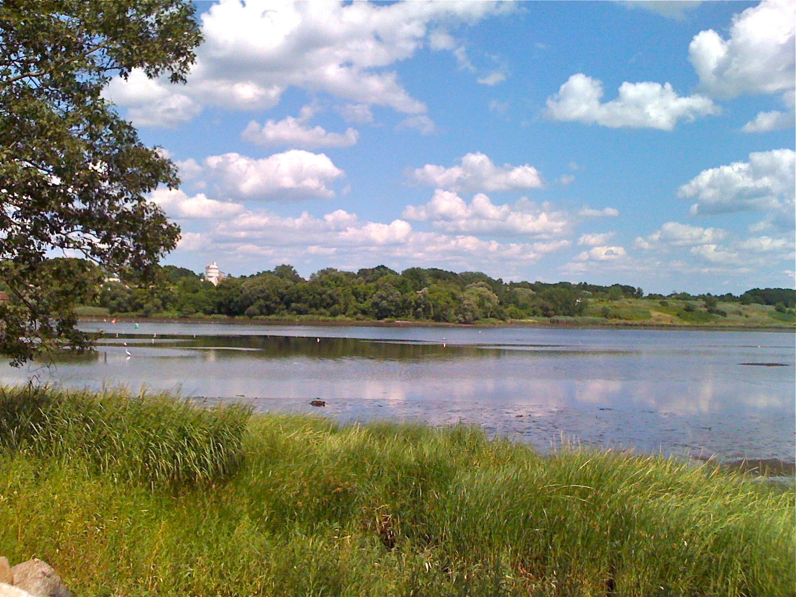 Choosing Providence: Swan Point Cemetery