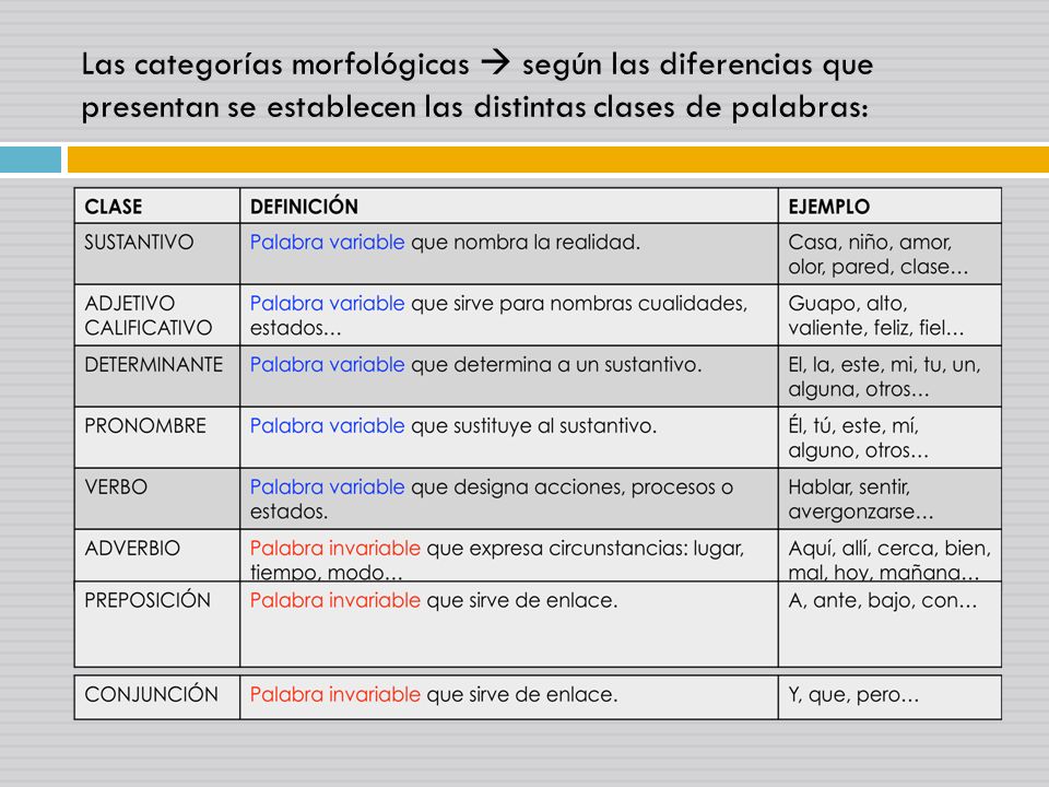 .: Esquemas de clases de palabras