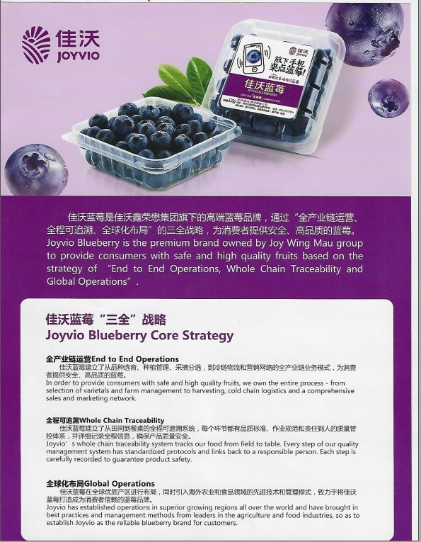 Blueberry FoodTech: Fresh Blueberry Marketing in China
