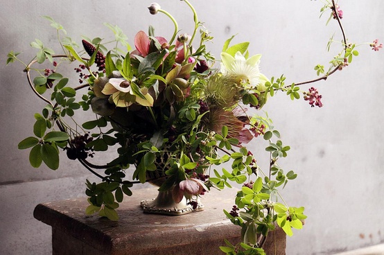 The Domestic Curator: DUTCH INSPIRED FLORALS