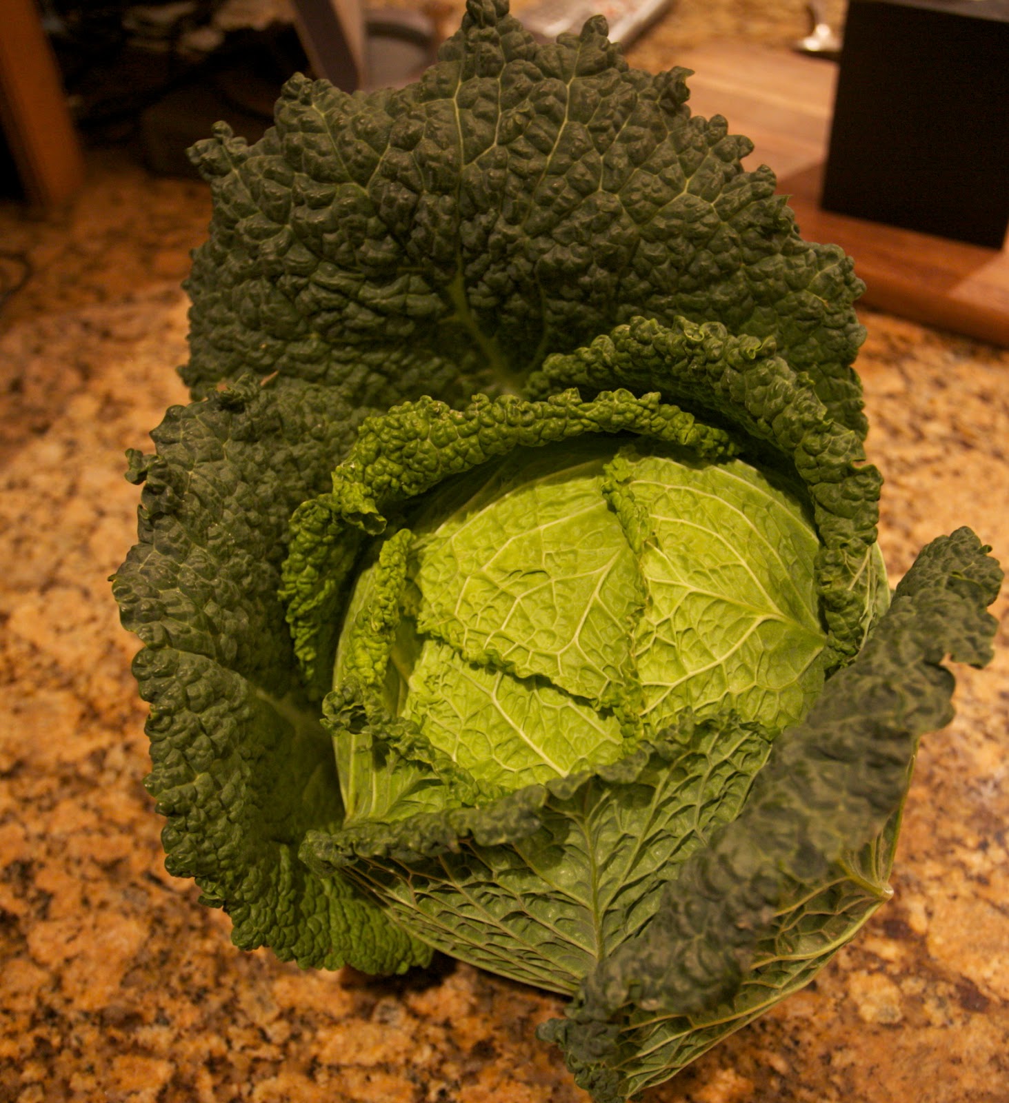 Golumpki: Polish Stuffed Cabbage