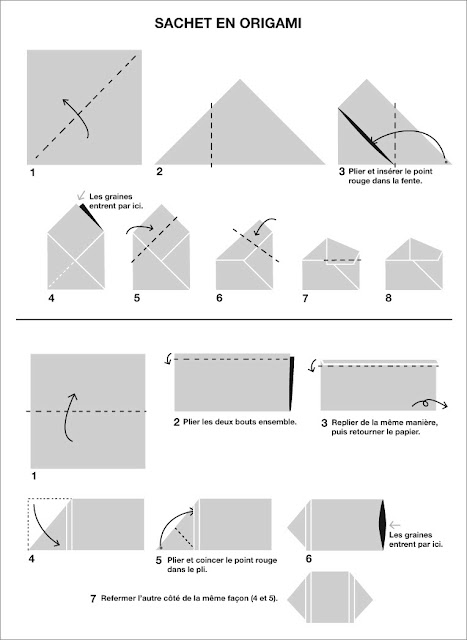 La Graine Libre: LES RECETTES