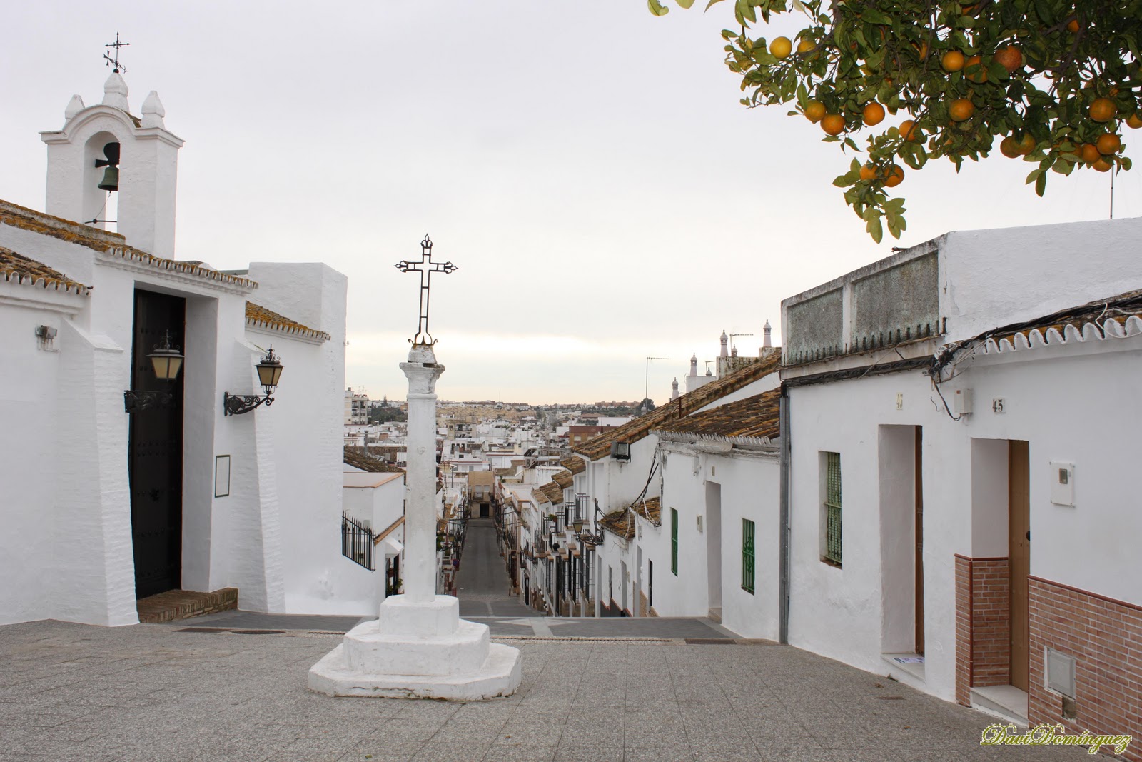 PROTECCION CIVIL CORIA DEL RÍO: Coria del Río