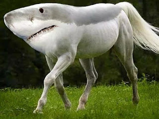 15 animales tan raros que es difícil imaginar que son reales