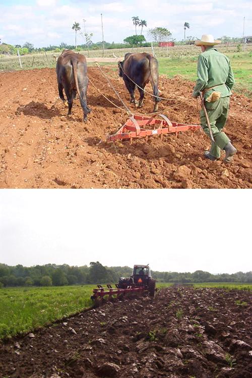 METODOS DE LABRANZA PARA LA CONSERVACION Y MEJORAMIENTO DE LOS SUELOS.