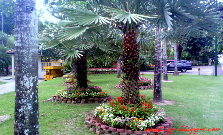 Riadah Di Taman Tasik Perdana