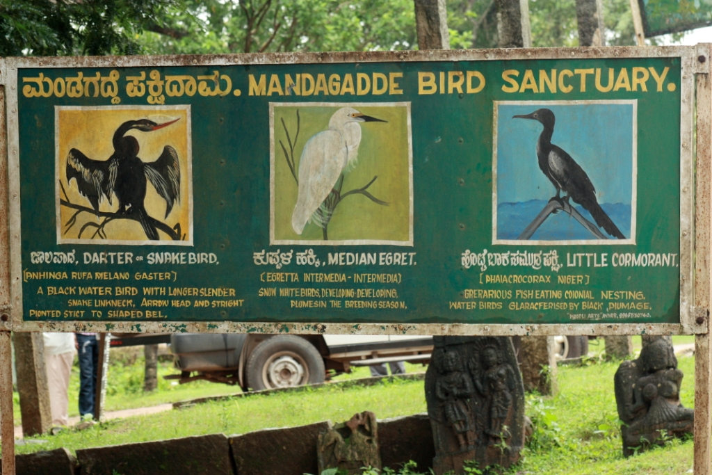 Pakshi Loka: Mandagadde during Monsoon