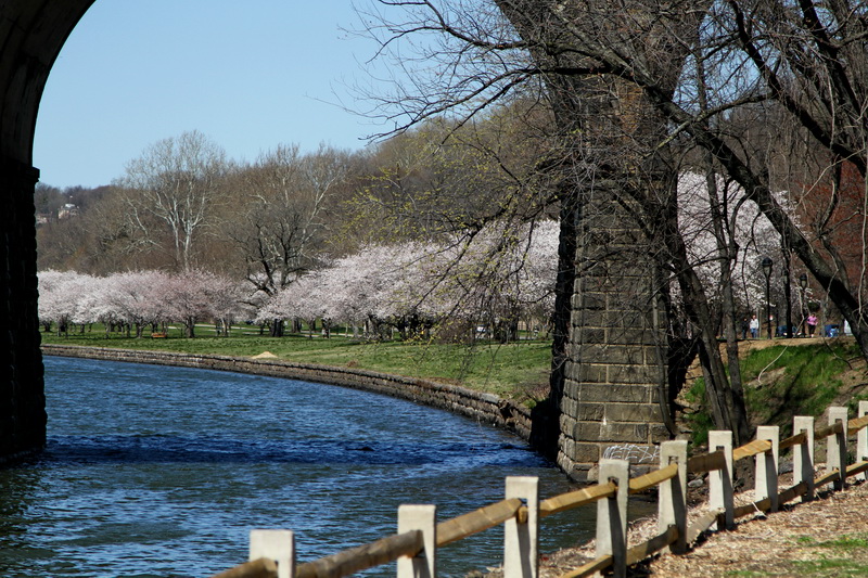 Tails of Birding: Spring in Philadelphia - along Kelly Drive