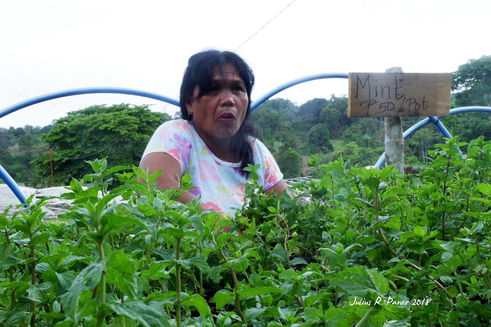 LOGSAC: BEMWA Farm underscores healthy option and countryside Davao ...