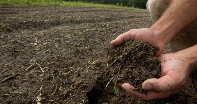 Klasifikasi Tanah Menurut Pusat Penelitian Tanah IPB - Biologizone