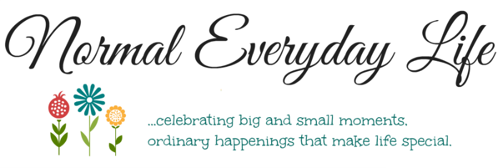 Normal Everyday Life