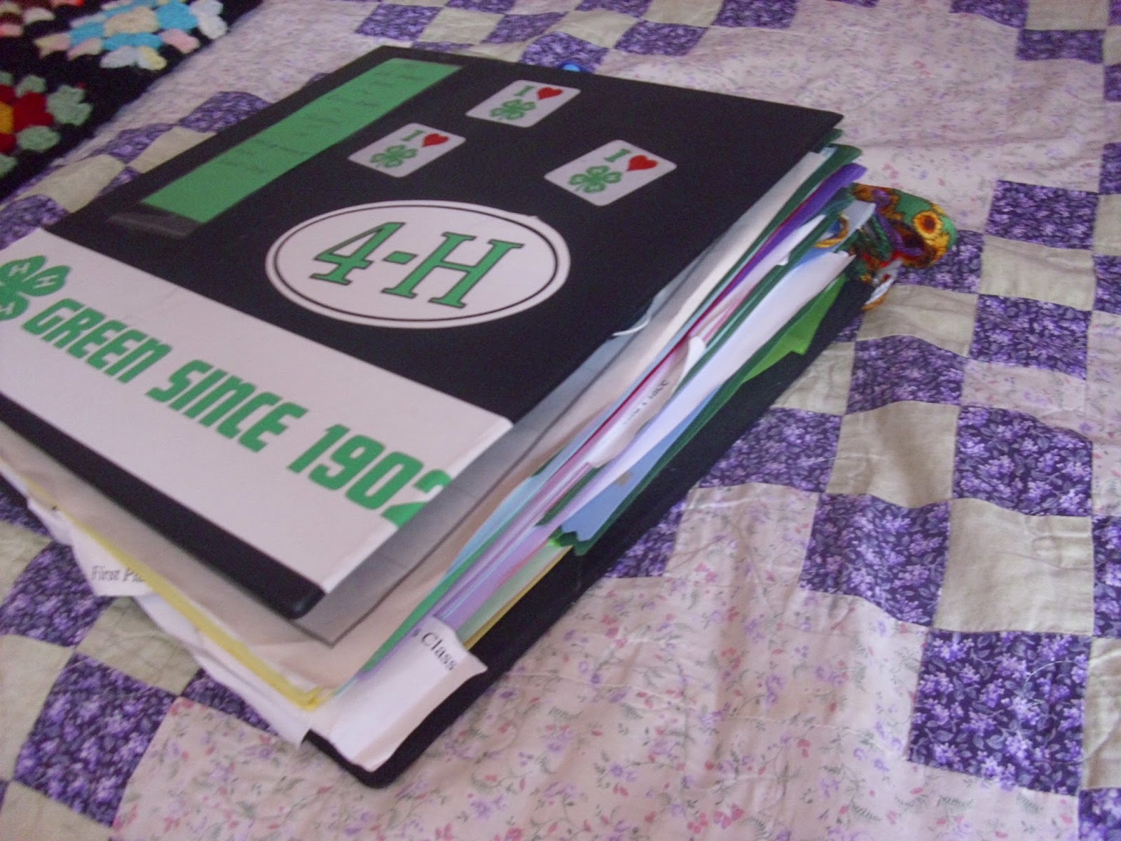 gmrobidas: Creating A 4-H Memory Book