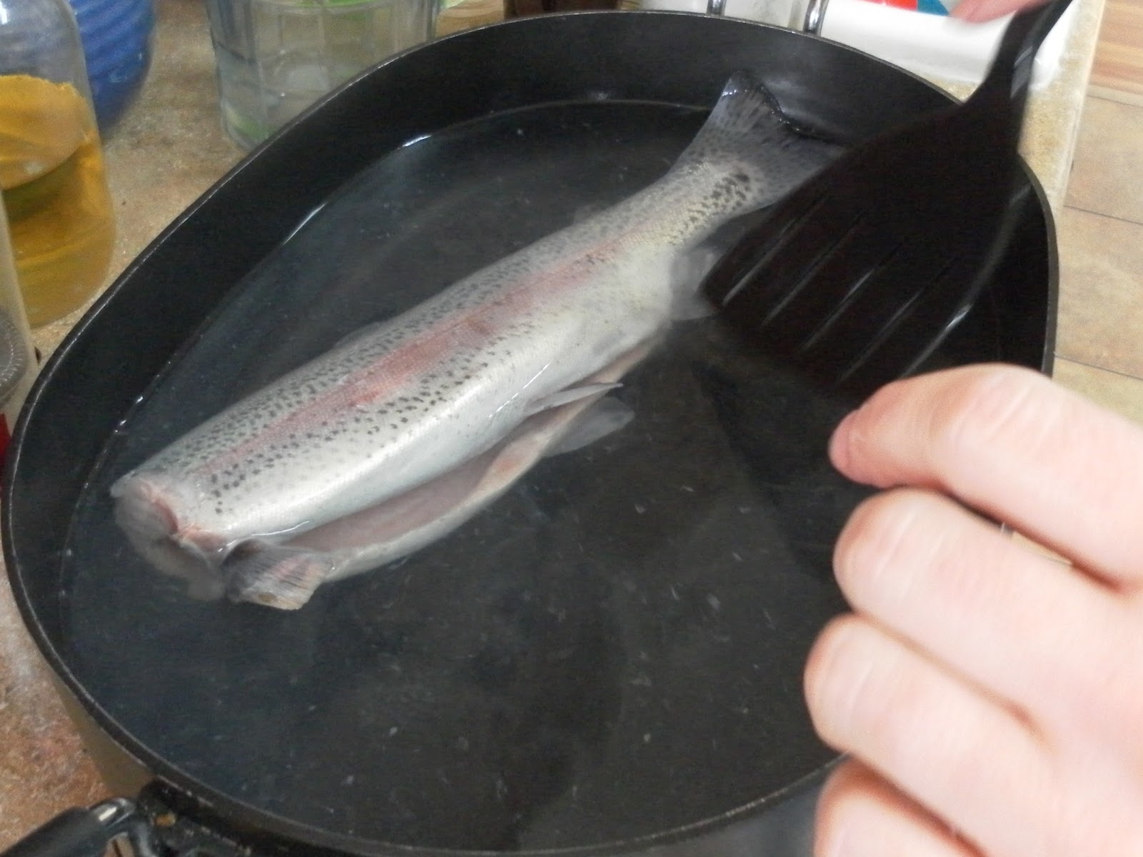 Nine for Dinner: How to Fillet a Fish