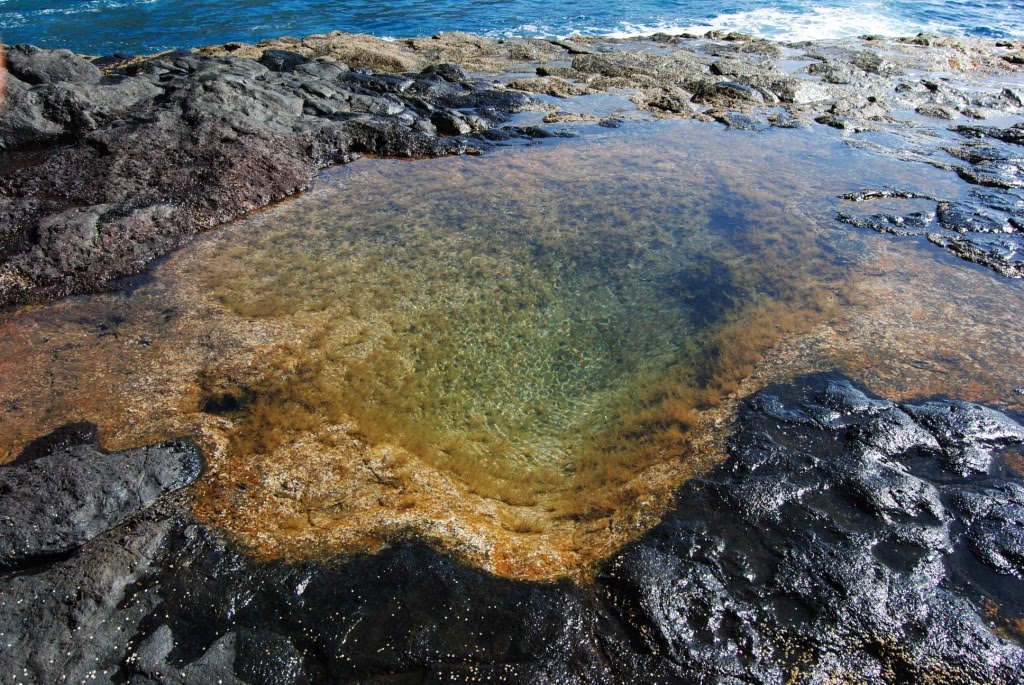LA PALMA Y EL MAR: PUERTO DE LOMADA GRANDE (GARAFIA)