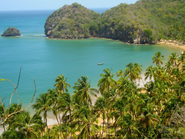 Península de Paria: se queda para siempre - Viajero de naturaleza