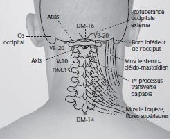 Blog Le Souffle du Menhir: VG 16 Feng Fu / Fēng Fŭ 風府 « Palais du Vent